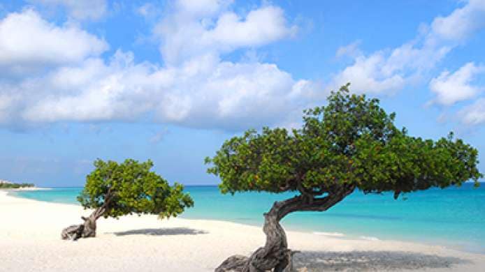Die wenigen, aber schönsten Strände von Aruba | C-Magazine
